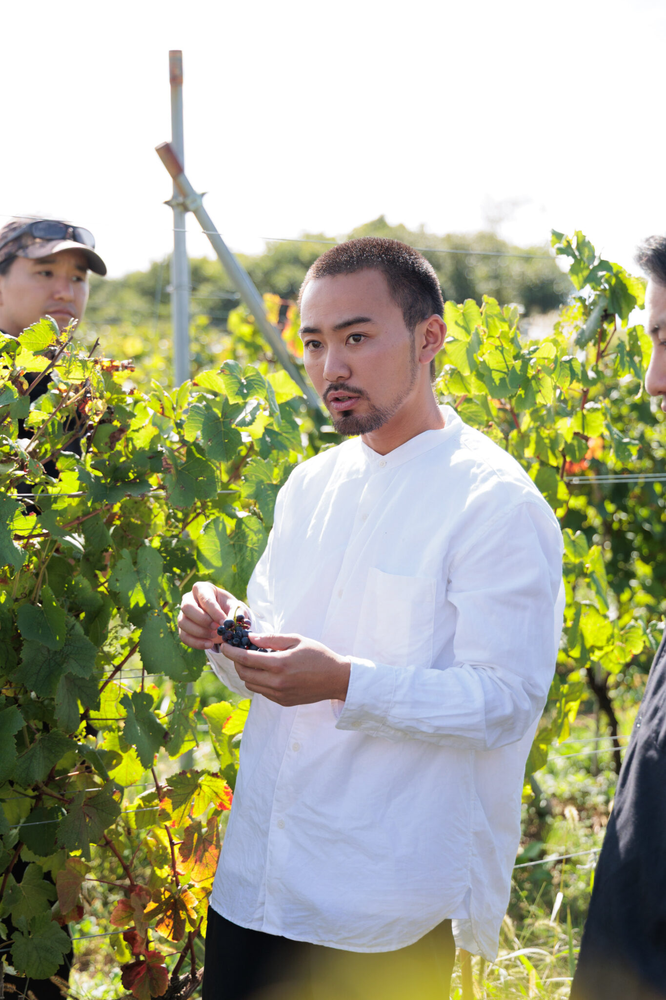 Shishi-Iwa House debuts the best of Japan wine tour in summer 2026 ...